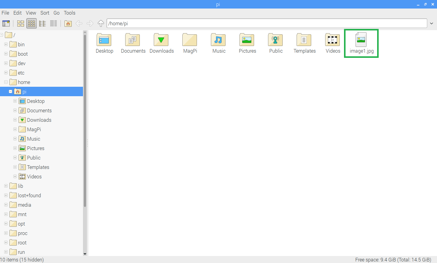 راهنمای راه اندازی دوربین رزبری پای - دوربین رسپبری پای | کافه ربات